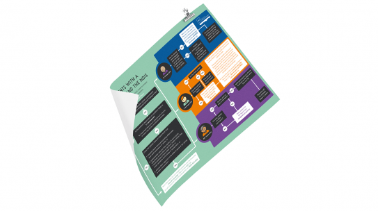 My Health Matters folder - Council for Intellectual Disability